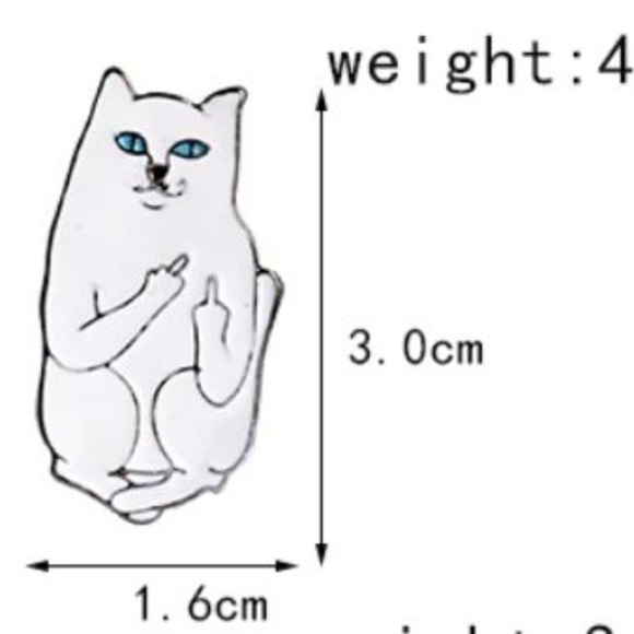 Cute4less2012 | Jewelry | Middle Finger Cat Kitten Pin Brooch | Poshmark